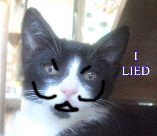 [Image - 158396] | I Lied | Know Your Meme