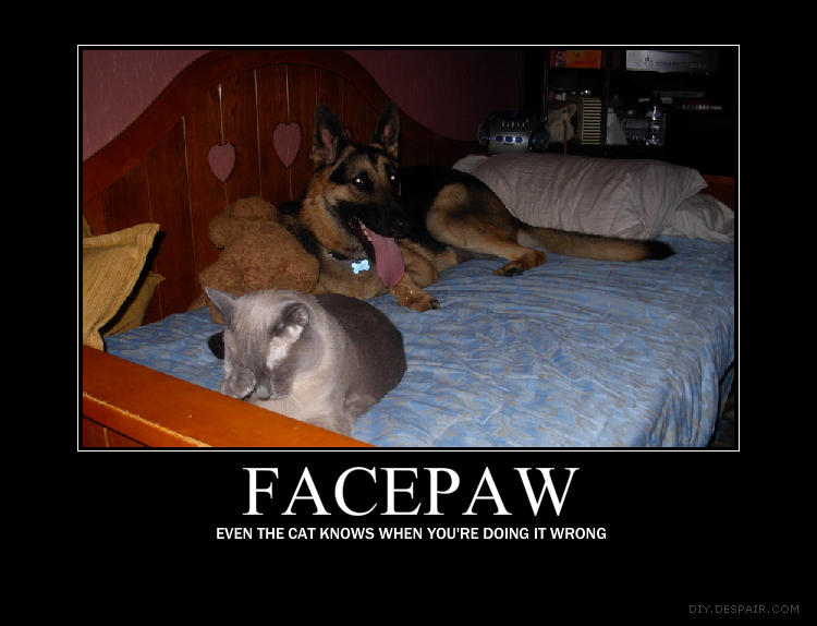 Facepalm Dog