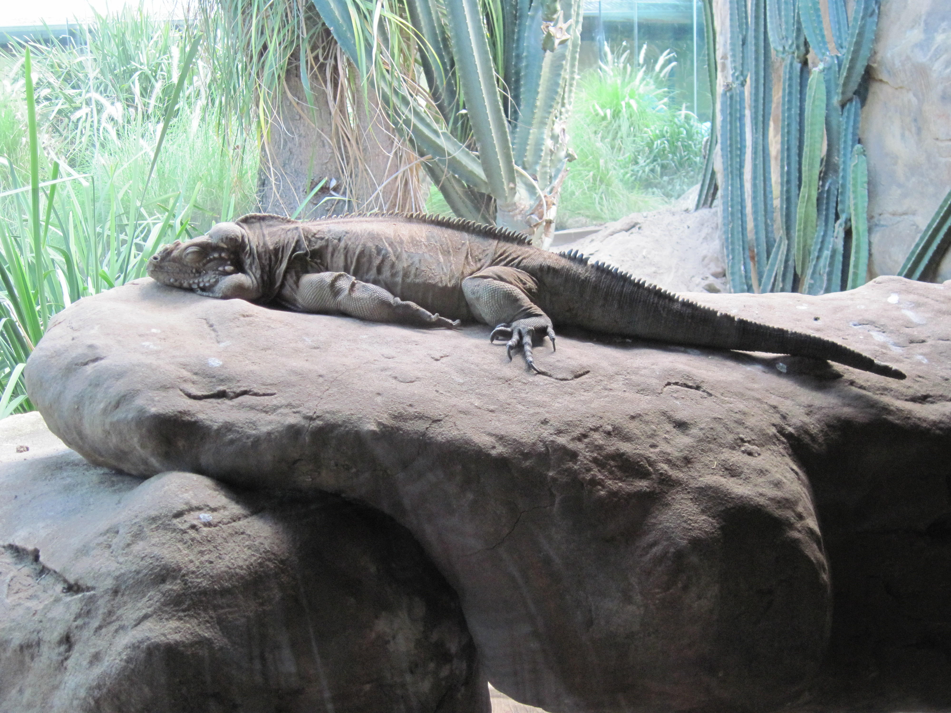 [Image - 162128] | Planking | Know Your Meme