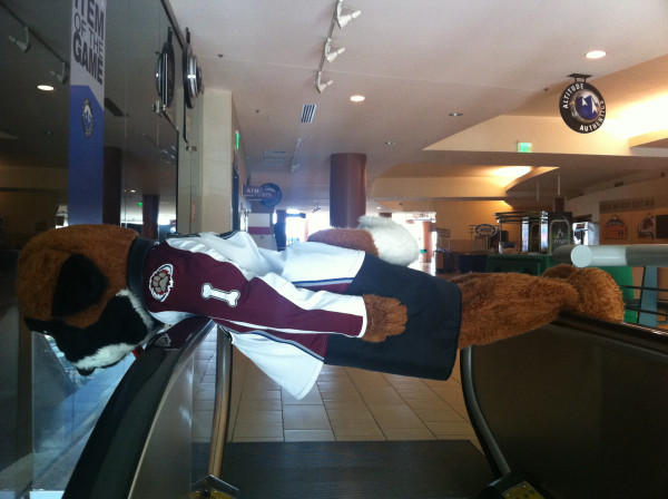 [Image - 162483] | Planking | Know Your Meme