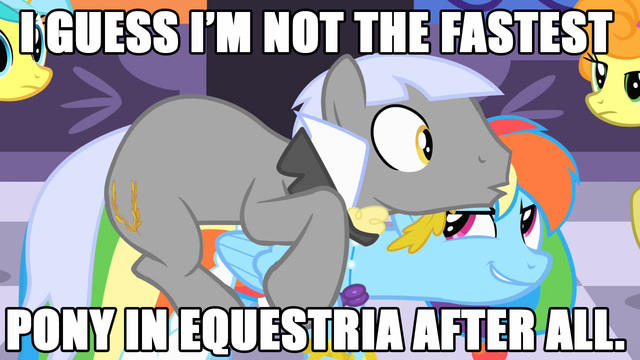 He Came in Rainbow Dash | Wingboner & Clopping | Know Your Meme