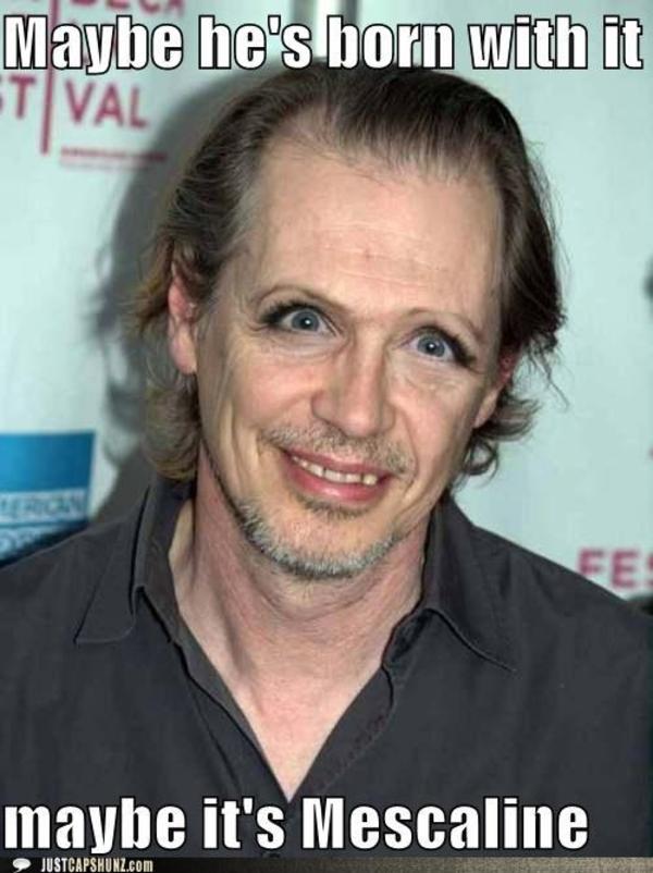 [Image - 163179] | Michele Bachmann Newsweek Photo | Know Your Meme