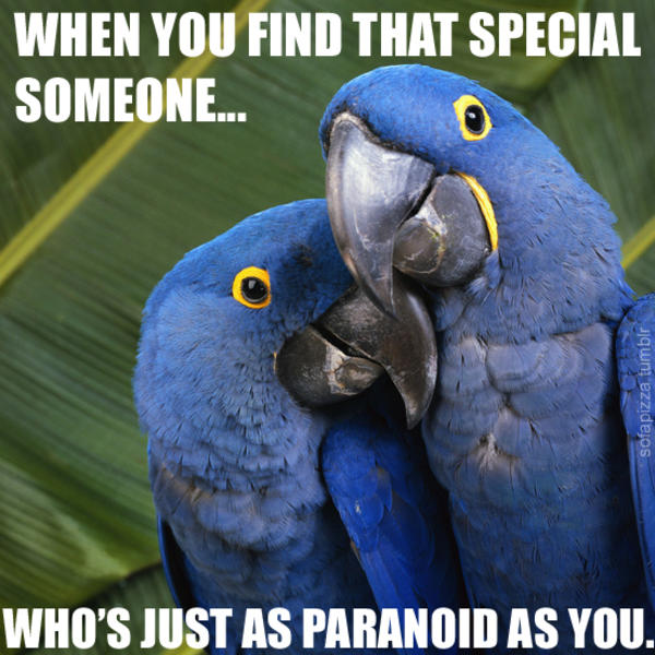 When you find that special someone...who's just as paranoid as you ...