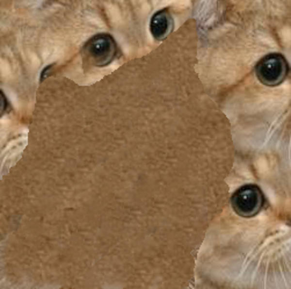 [Image - 167338] | Starecat / Grafics Cat | Know Your Meme