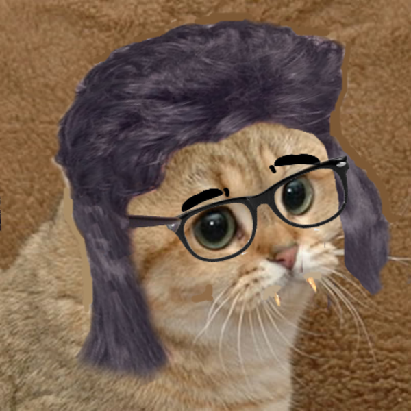 [Image - 167344] | Starecat / Grafics Cat | Know Your Meme