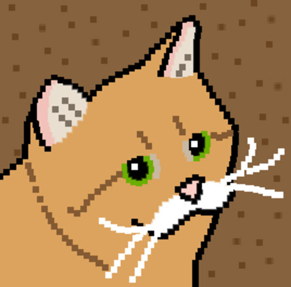 [Image - 167358] | Starecat / Grafics Cat | Know Your Meme