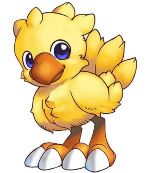 Chocobo art | Final Fantasy | Know Your Meme