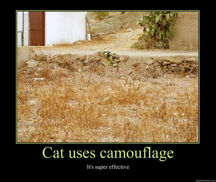 [Image - 167591] | It's Super Effective! | Know Your Meme