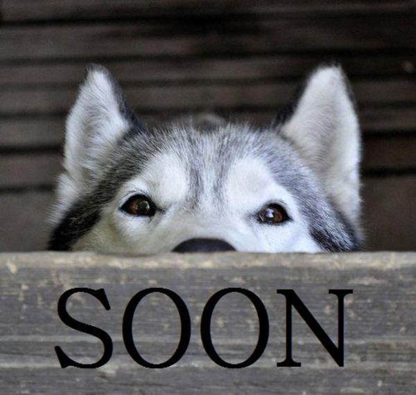 [Image - 167917] | SOON | Know Your Meme