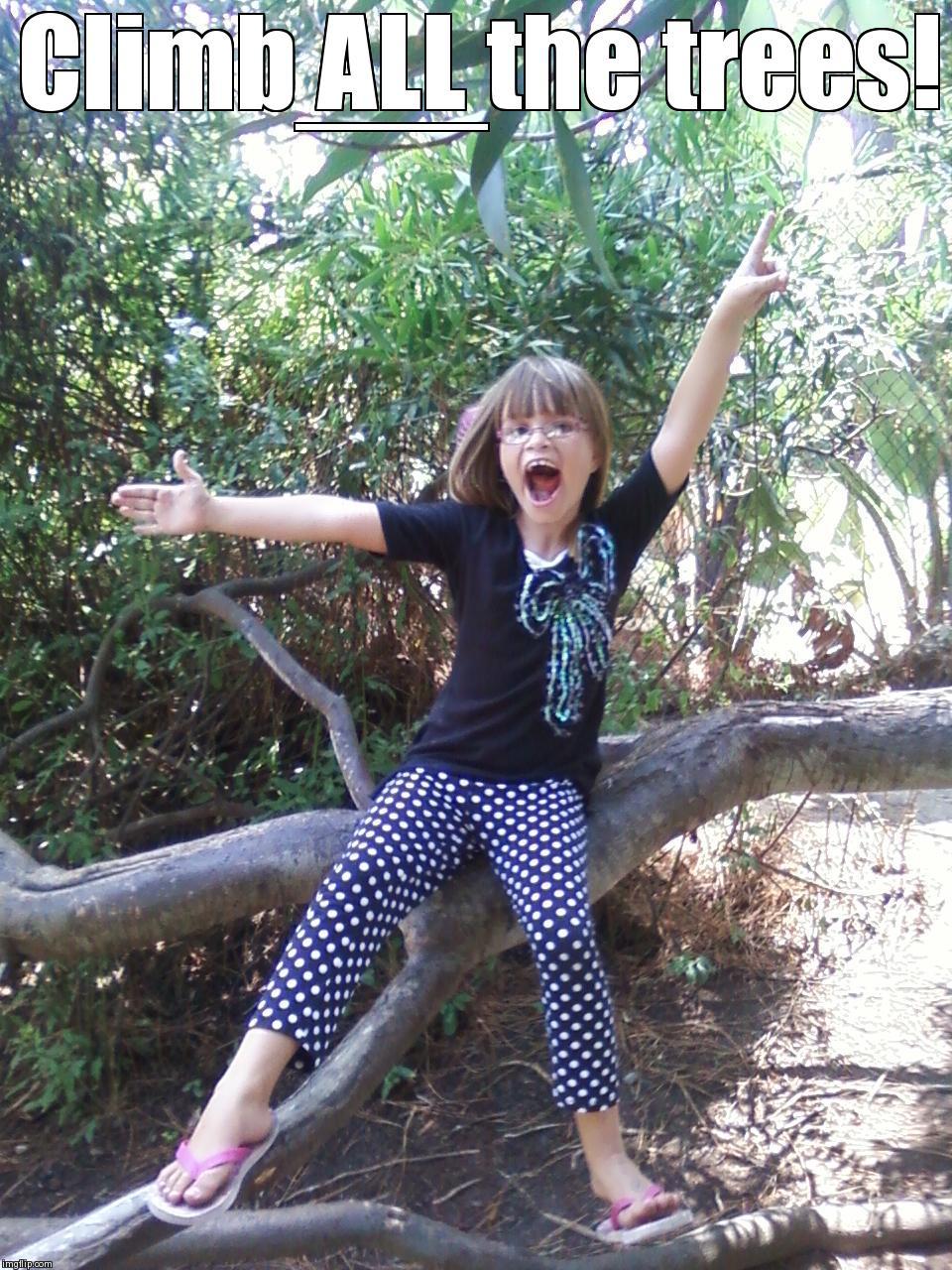 [Image - 171384] | All the Things | Know Your Meme