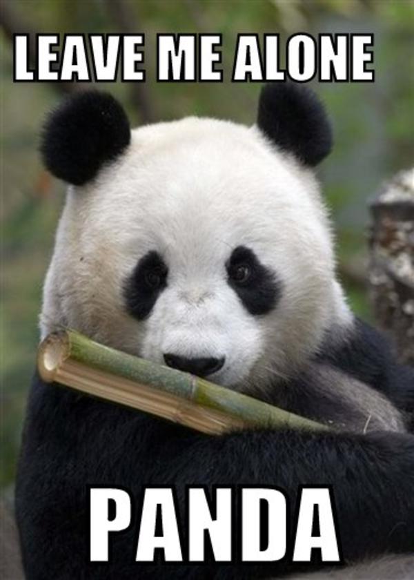 [Image - 172693] | LEAVE ME ALONE PANDA | Know Your Meme