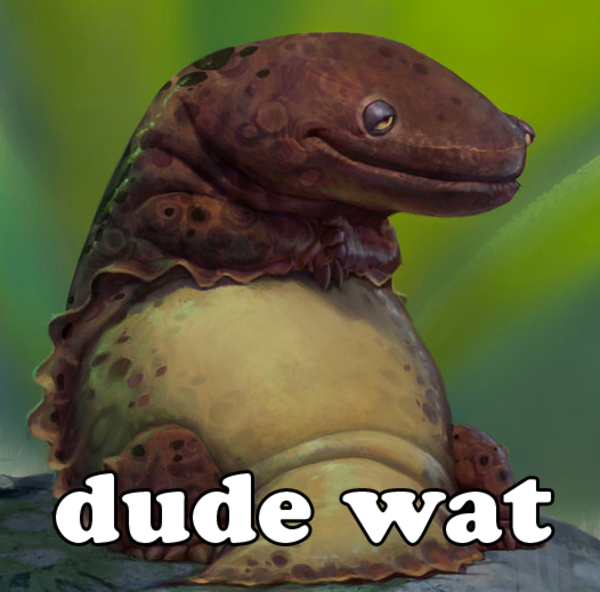 [Image - 173591] | Wat | Know Your Meme
