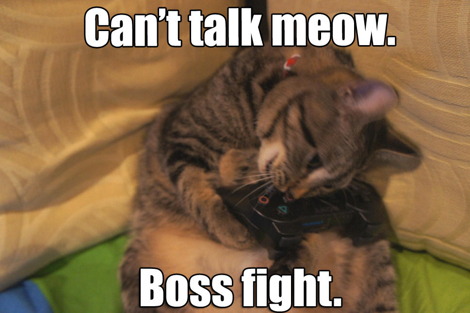 [Image - 173664] | OH HAI | Know Your Meme