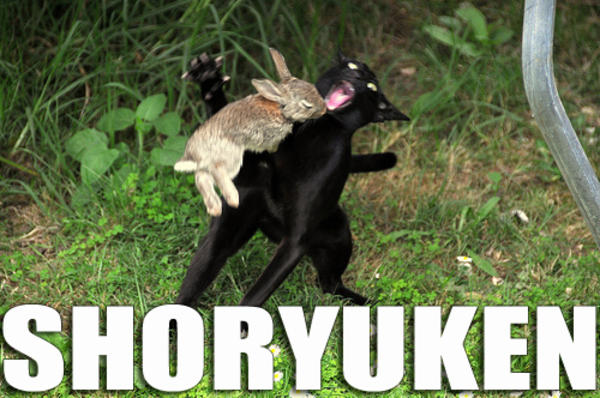 [Image - 173667] | OH HAI | Know Your Meme