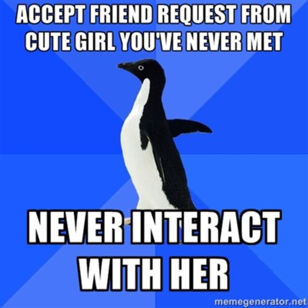 [Image - 174661] | Socially Awkward Penguin | Know Your Meme