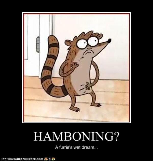 [Image - 175336] | Hamboning Will Save Your Life Someday | Know Your Meme