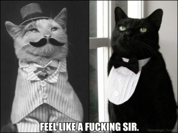 [Image - 175466] | Feel Like a Sir | Know Your Meme