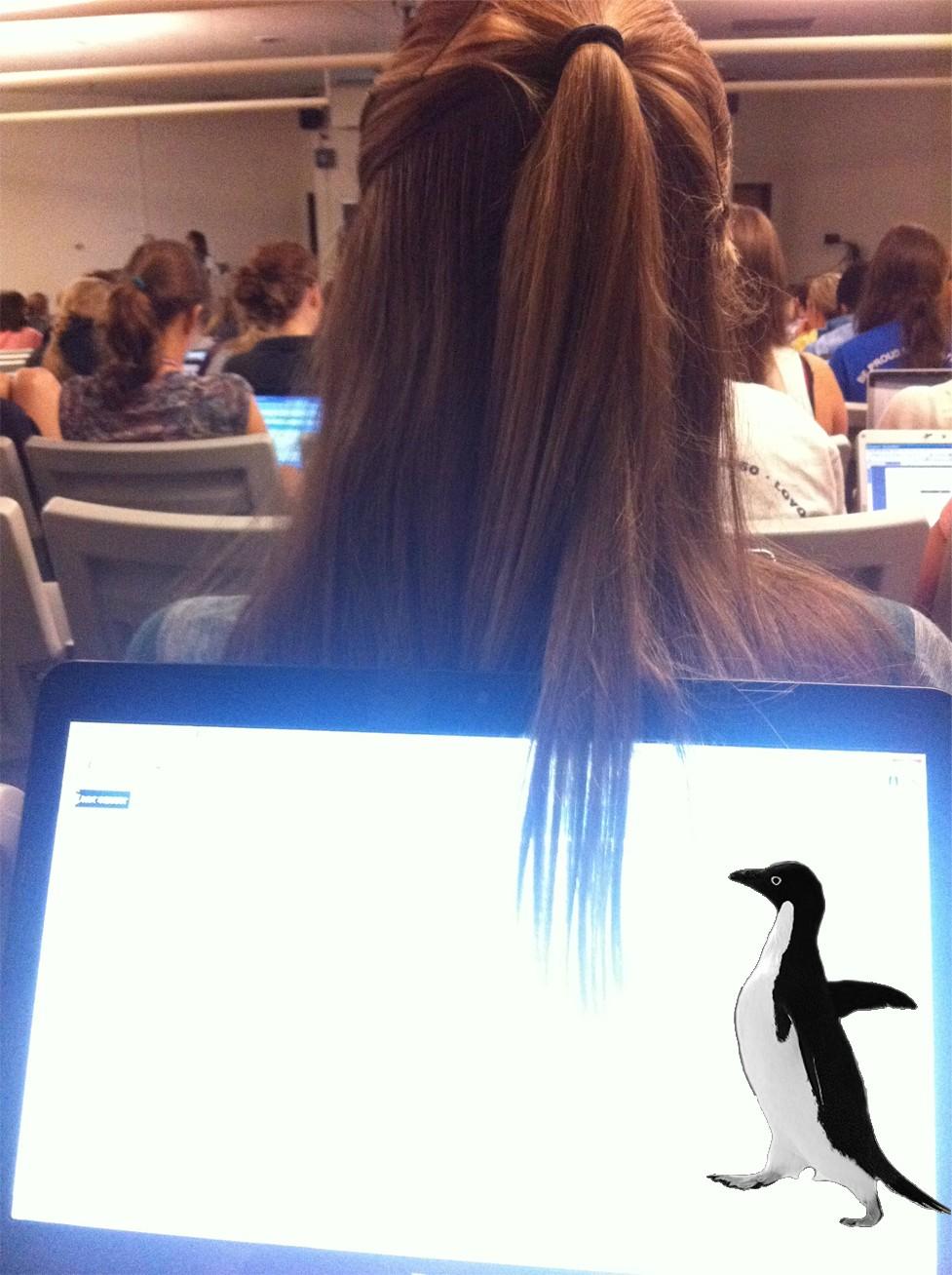 [Image - 176169] | Socially Awkward Penguin | Know Your Meme