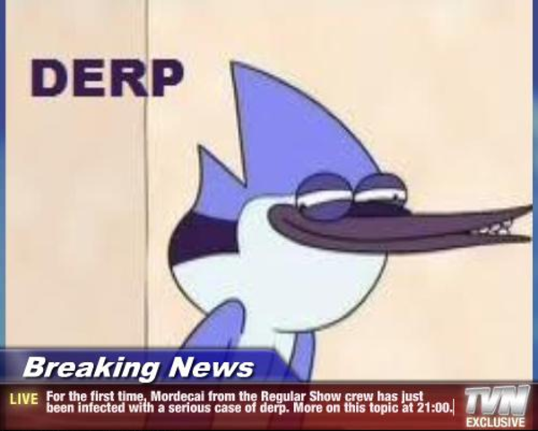 [Image - 176955] | Derp | Know Your Meme