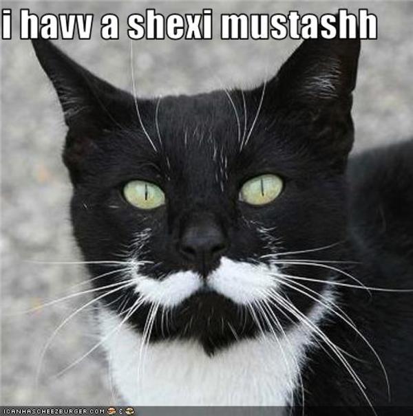 [Image - 178182] | Moustache | Know Your Meme