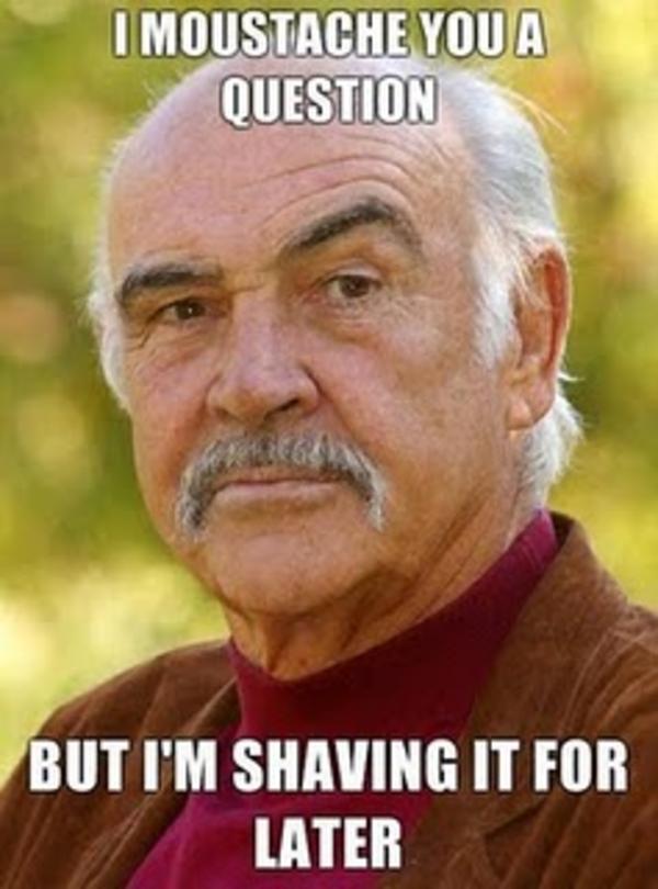 [Image - 178190] | Moustache | Know Your Meme