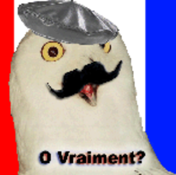 [Image - 180102] | O RLY? | Know Your Meme