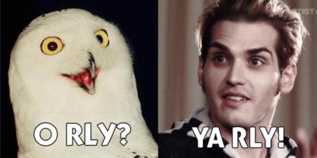 [Image - 180106] | O RLY? | Know Your Meme