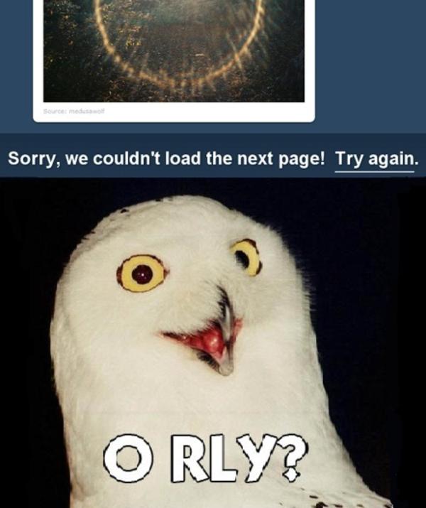 [Image - 180135] | O RLY? | Know Your Meme
