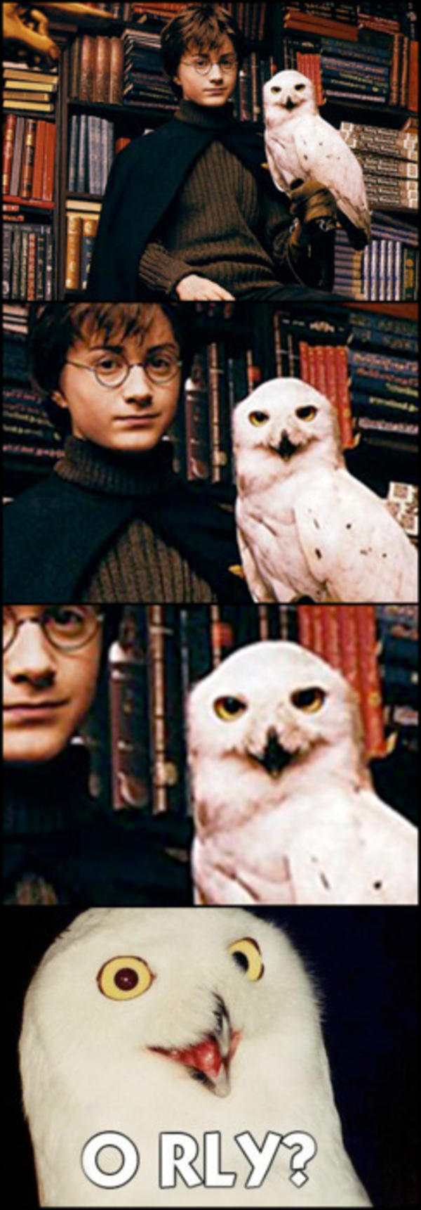 [Image - 180146] | O RLY? | Know Your Meme