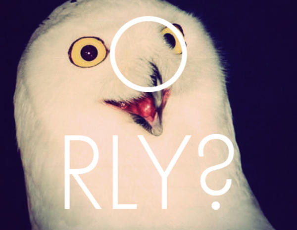 [Image - 180159] | O RLY? | Know Your Meme