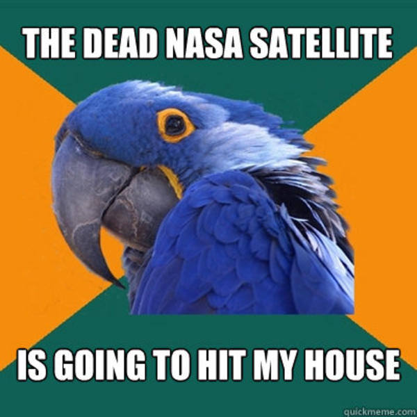 [Image - 180228] | Paranoid Parrot | Know Your Meme