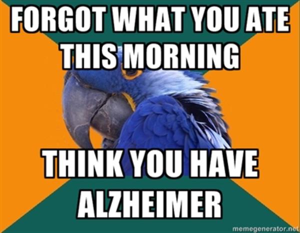 [Image - 180232] | Paranoid Parrot | Know Your Meme