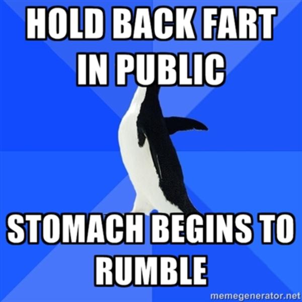 [Image - 181250] | Socially Awkward Penguin | Know Your Meme