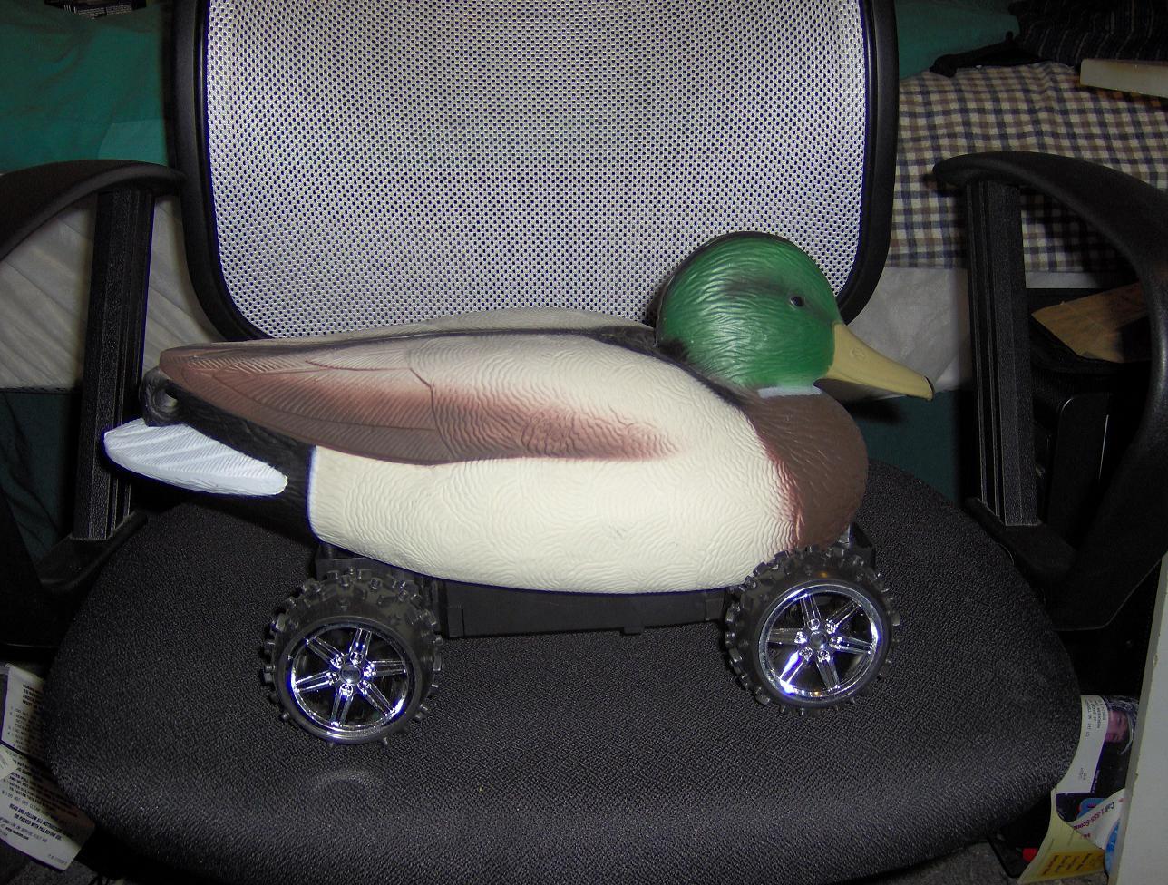 [Image - 183256] | Duckroll | Know Your Meme