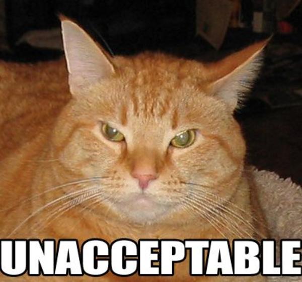 [Image - 186468] | LOLcats | Know Your Meme