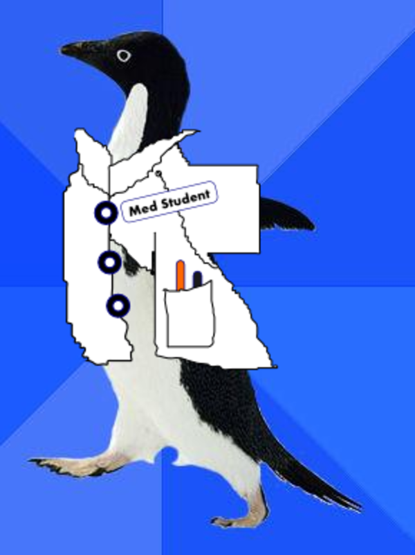[Image - 187674] | Socially Awkward Penguin | Know Your Meme