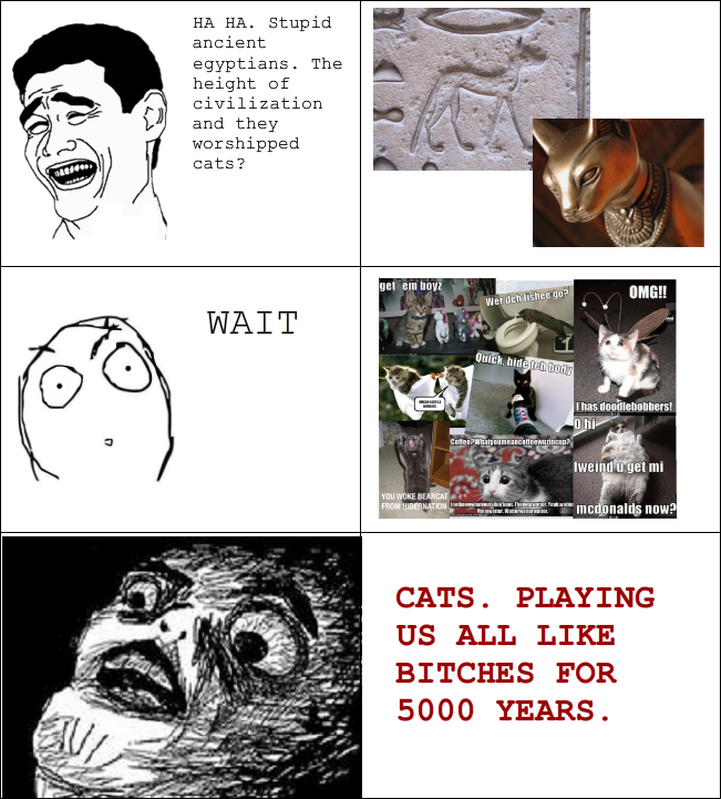 [Image - 188767] | Cats | Know Your Meme