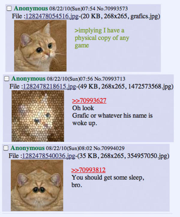 [Image - 191211] | Starecat / Grafics Cat | Know Your Meme