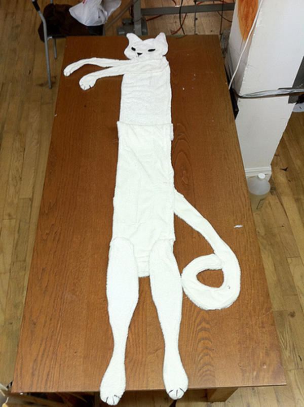 [Image - 191592] | Longcat | Know Your Meme