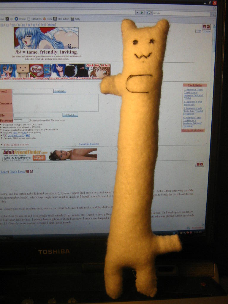 [Image - 191599] | Longcat | Know Your Meme