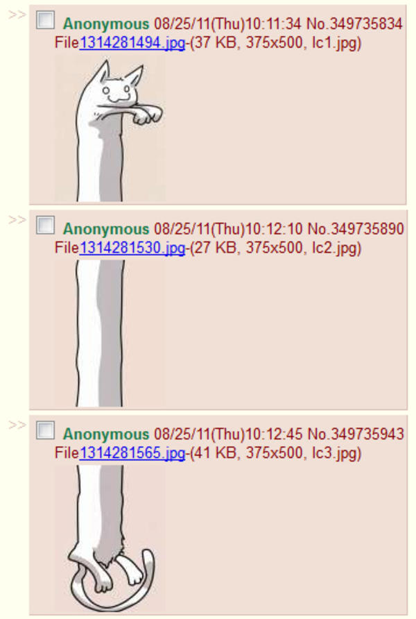 [Image - 191646] | Longcat | Know Your Meme