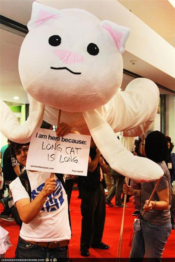 [Image - 191655] | Longcat | Know Your Meme