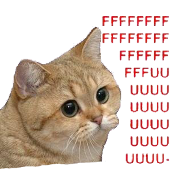 [Image - 192498] | Starecat / Grafics Cat | Know Your Meme