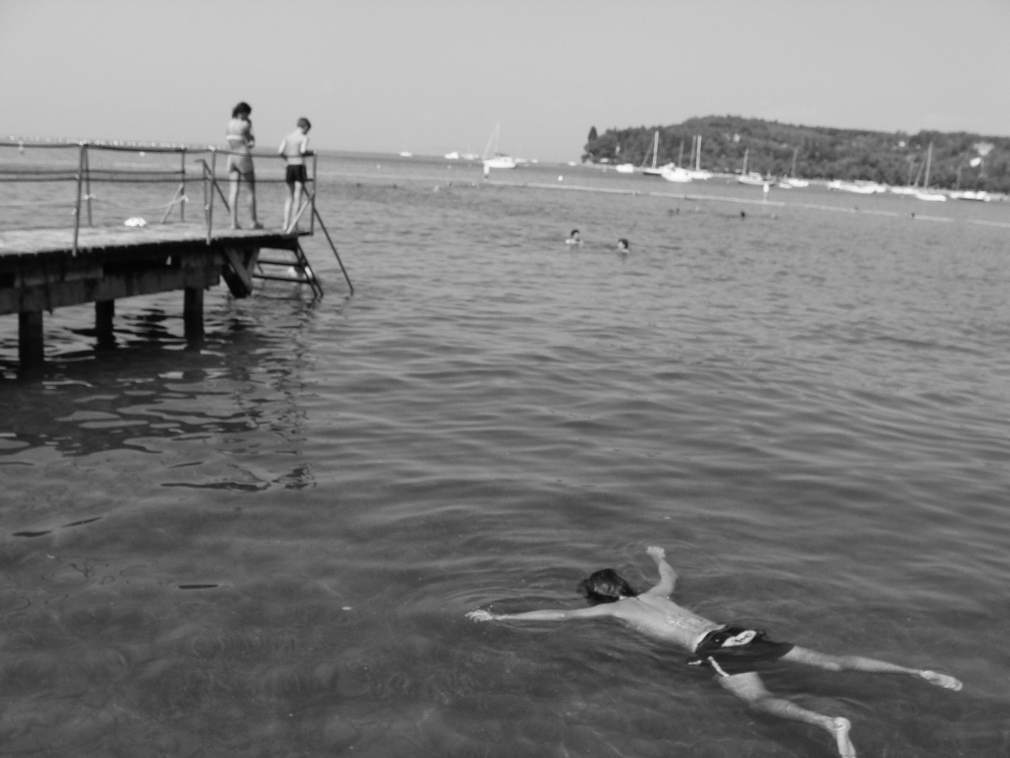 [Image - 193206] | Playing Dead | Know Your Meme