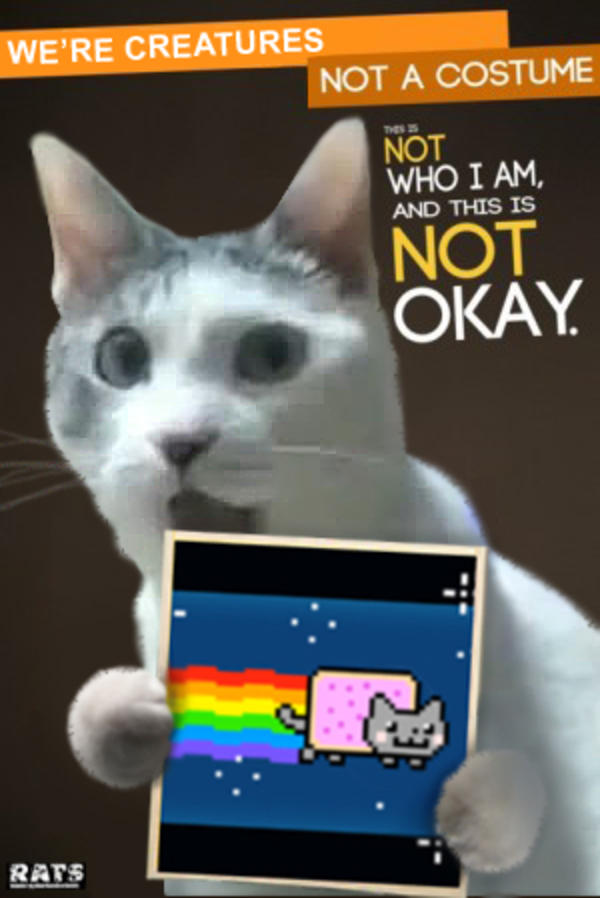 [Image - 193572] | Nyan Cat | Know Your Meme