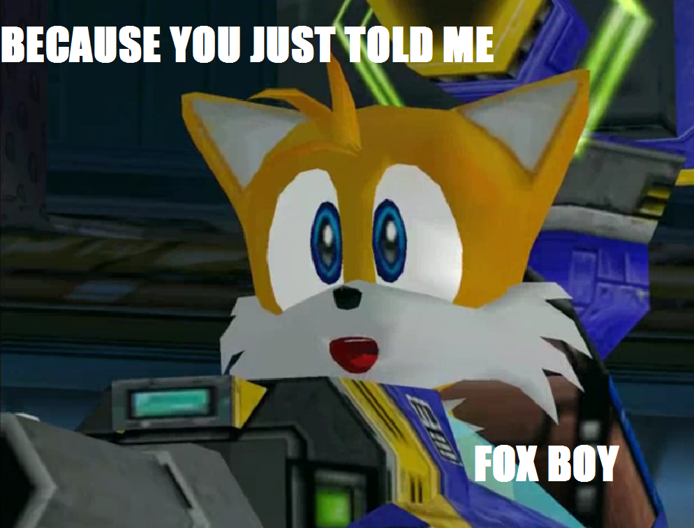 Because you told me fox boy | Sonic the Hedgehog | Know Your Meme