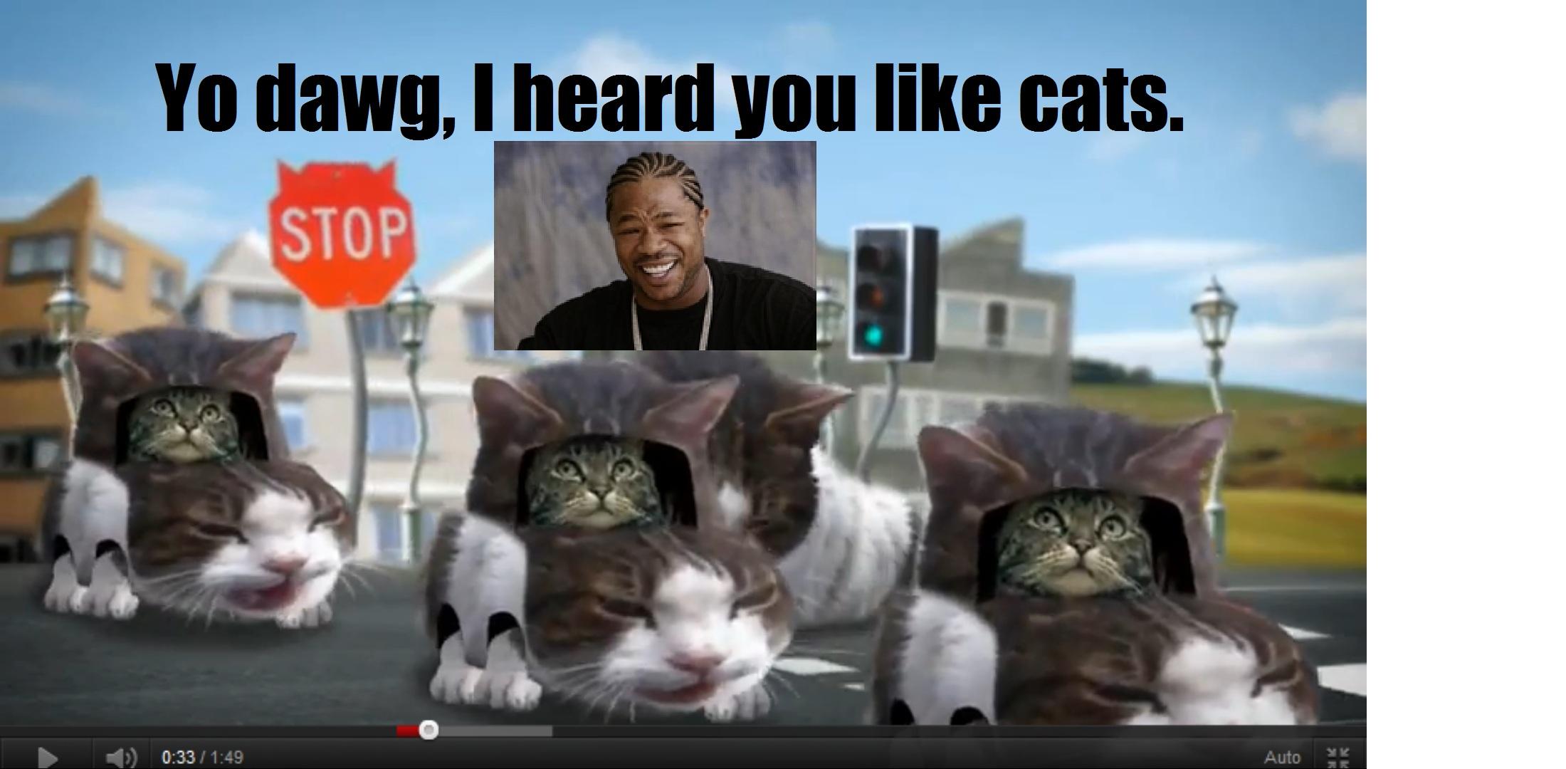 Yo Dawg I Heard You Like Cats Xzibit Yo Dawg Know Your Meme