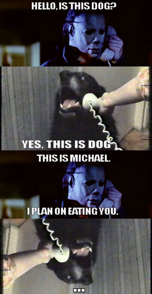 [Image - 197638] | Yes, This is Dog | Know Your Meme