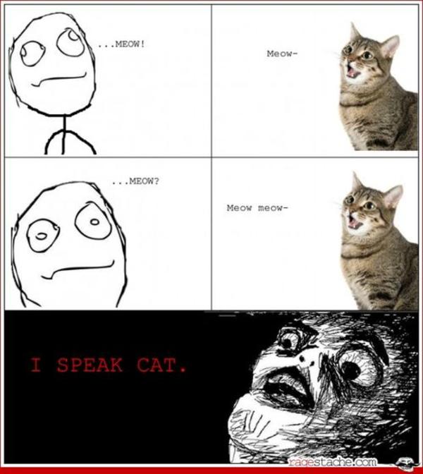 [Image - 197917] | Oh Crap / OMG Rage Face | Know Your Meme