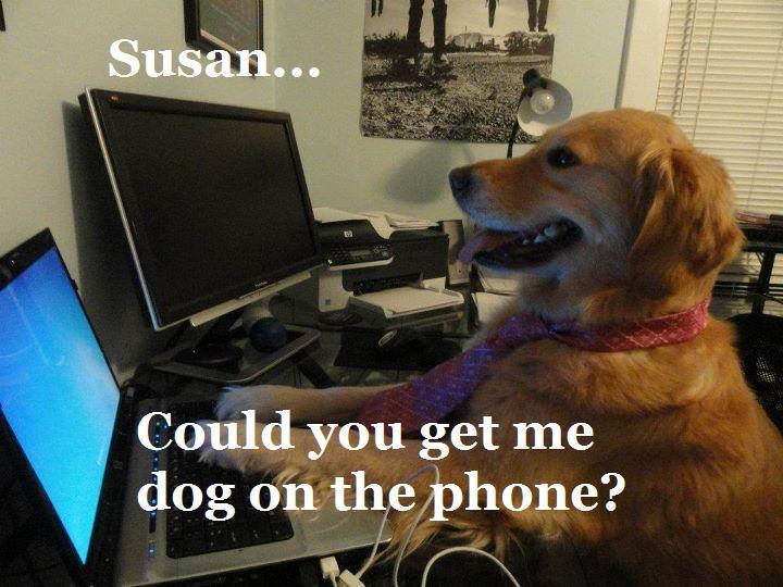 [Image - 197997] | Yes, This is Dog | Know Your Meme